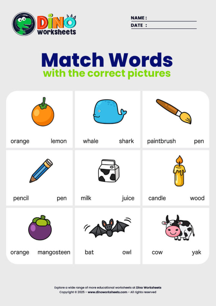 Match Words to Pictures Worksheets for Kids | Dino Worksheet